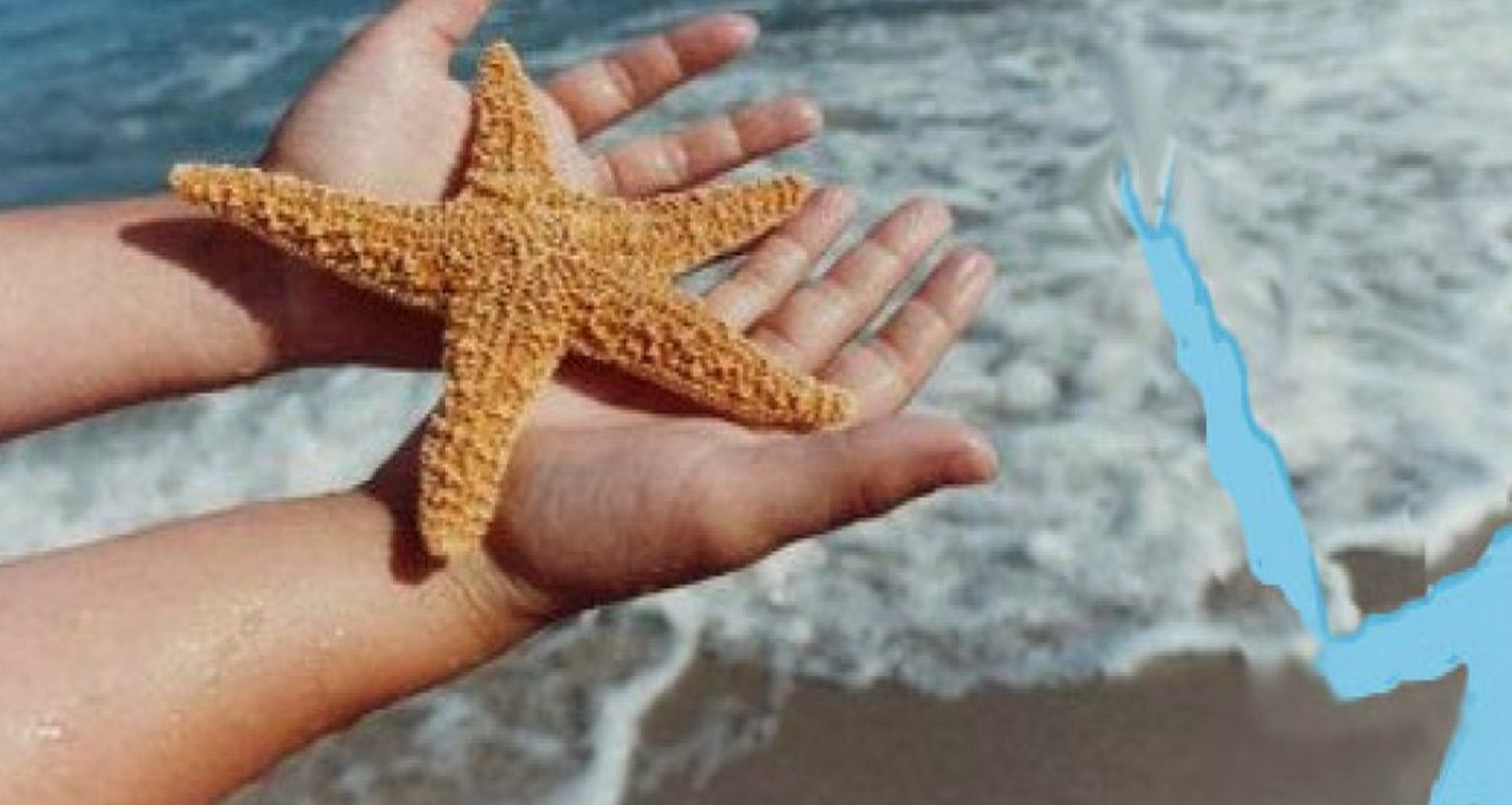 On Ground Projects - Persga